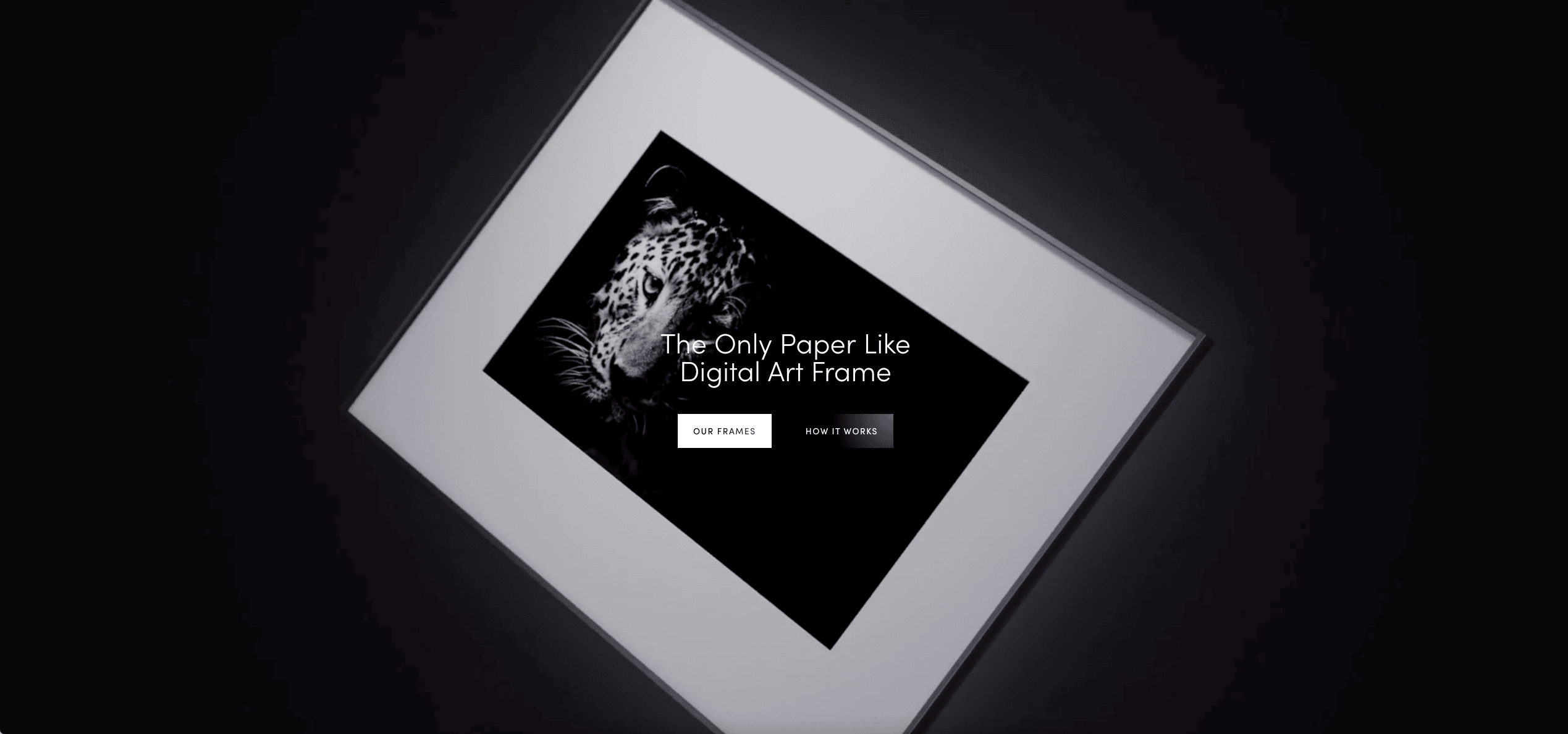 The only paperlike Digital Art Frame : IONNYK